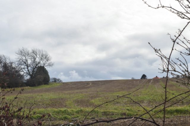 Woodside Ryton 3 bedroom Detached for sale NE40